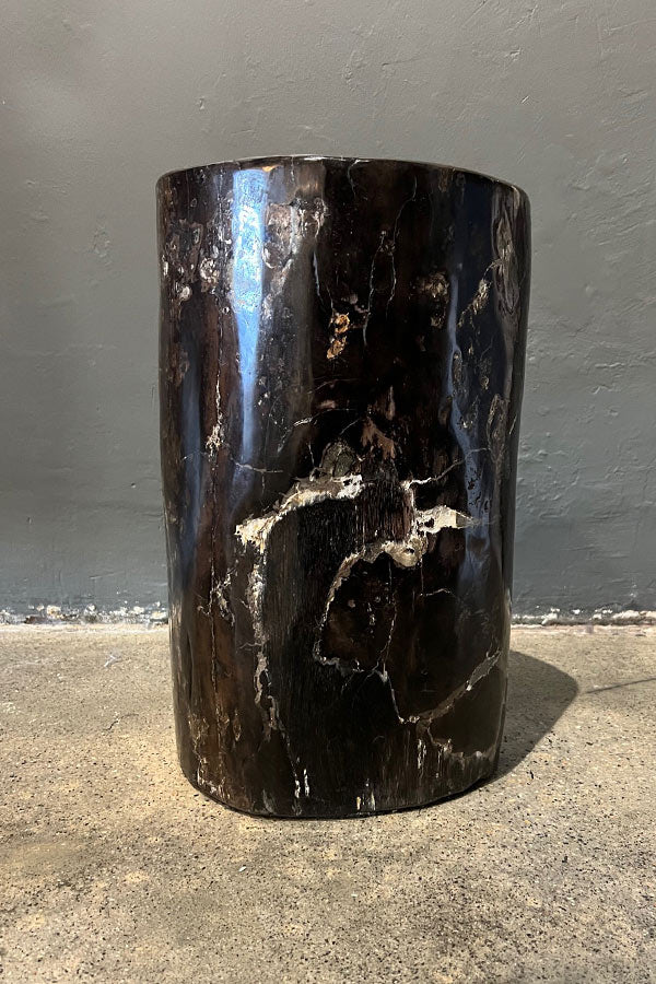 Mottled Petrified Wood Side Table or Stool | Aniseed Home