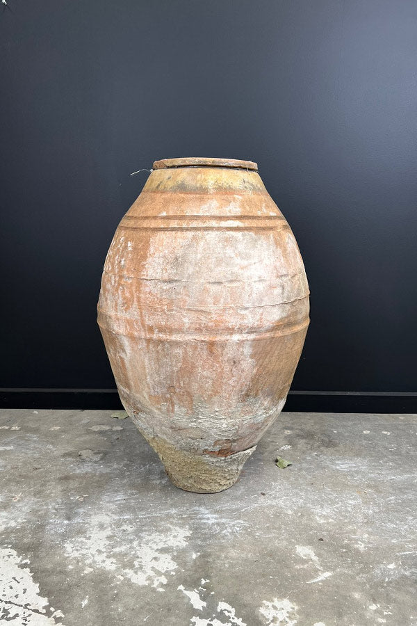 Terracotta Odemis White Washed Pot | Aniseed Home